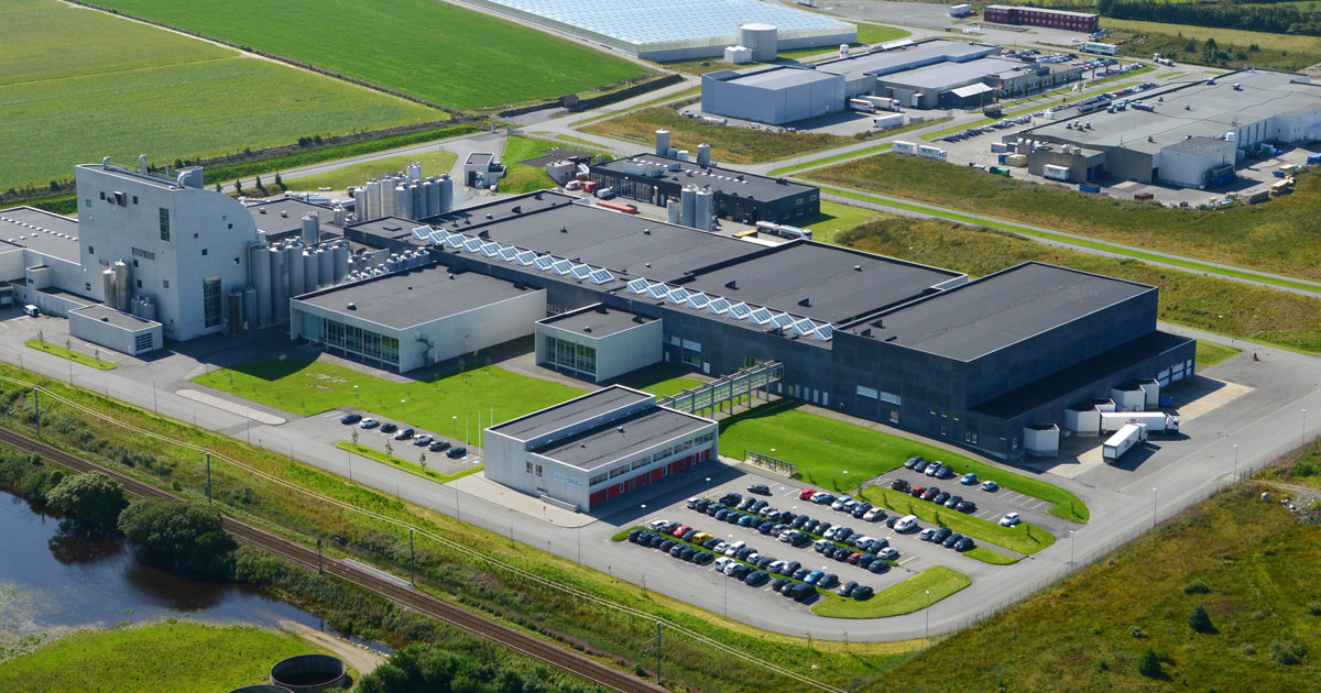 Tine Meieri | Arla Foods Ingredients