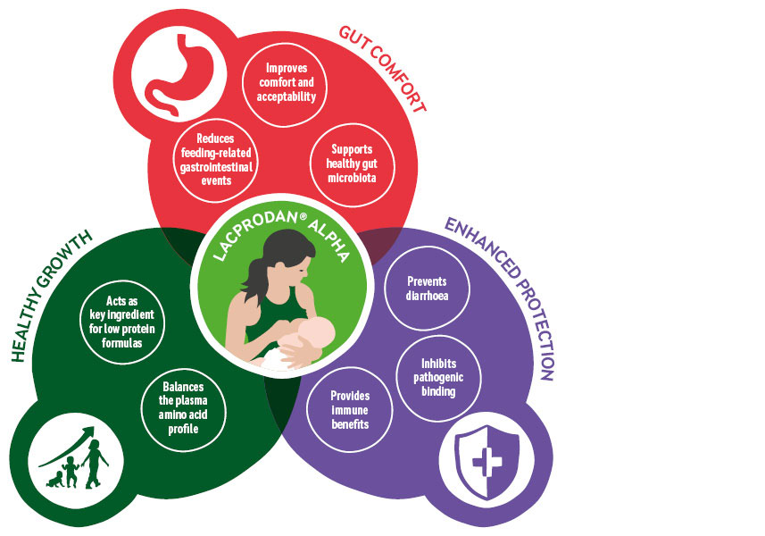 Early life nutrition ingredients: Alpha-lactalbumin | Arla Foods ...