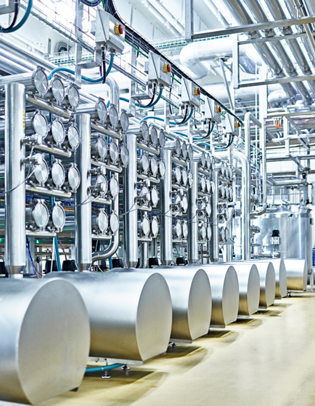 生命早期营养合作伙伴 | Arla Foods Ingredients